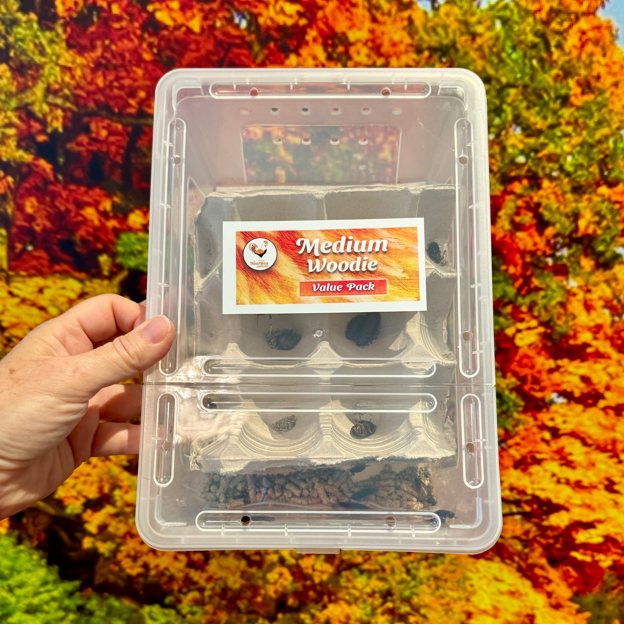 Medium Woodies Value Pack - Nest Box Online Australis